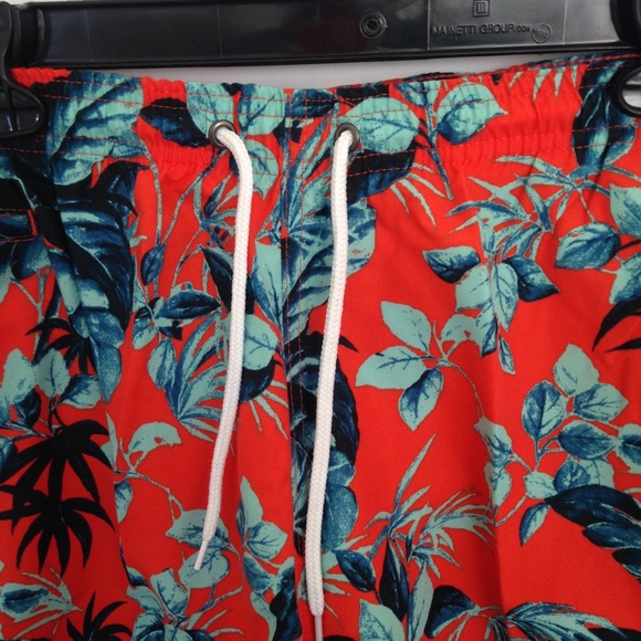 Trunks Surf & Swim Co | Swim | Trunks Surf Swim San O Shorts Size L Nwt ...
